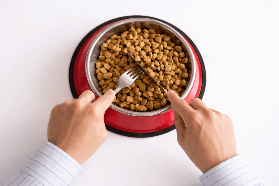 Can Humans Eat Dog Food?